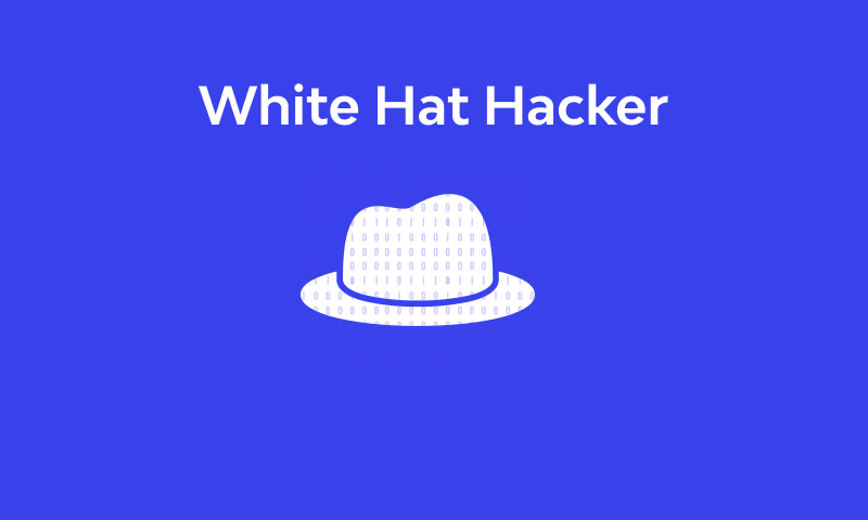 What is a White Hat Hacker? Definition, Types ☝️